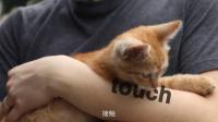 禁毒公益宣传片《不可触碰》:毒品之害猛于虎