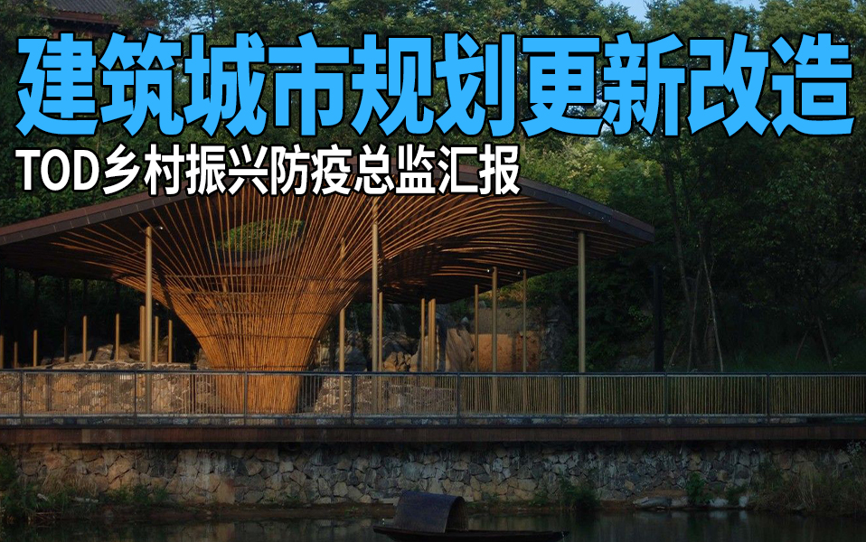 建筑城市设计规划更新改造TOD乡村振兴防疫总监总工汇报