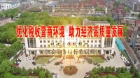 嘉善国税电子税务局操作指南