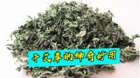 难怪艾草越卖越好,原来还有3个强大功能,现在明白不晚,涨知识