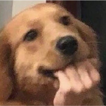 教育推荐评论师 