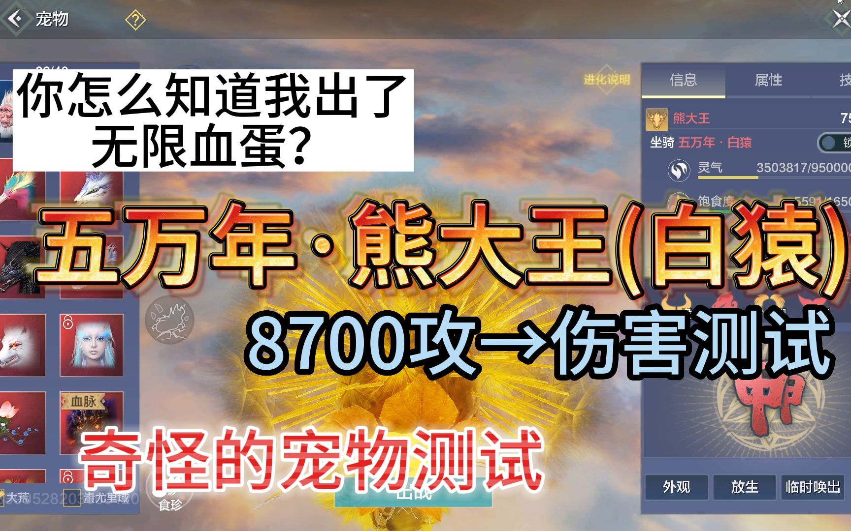你怎么知道我出了无限血蛋?五万年·熊大王!(白猿)合计8700攻击 伤害...