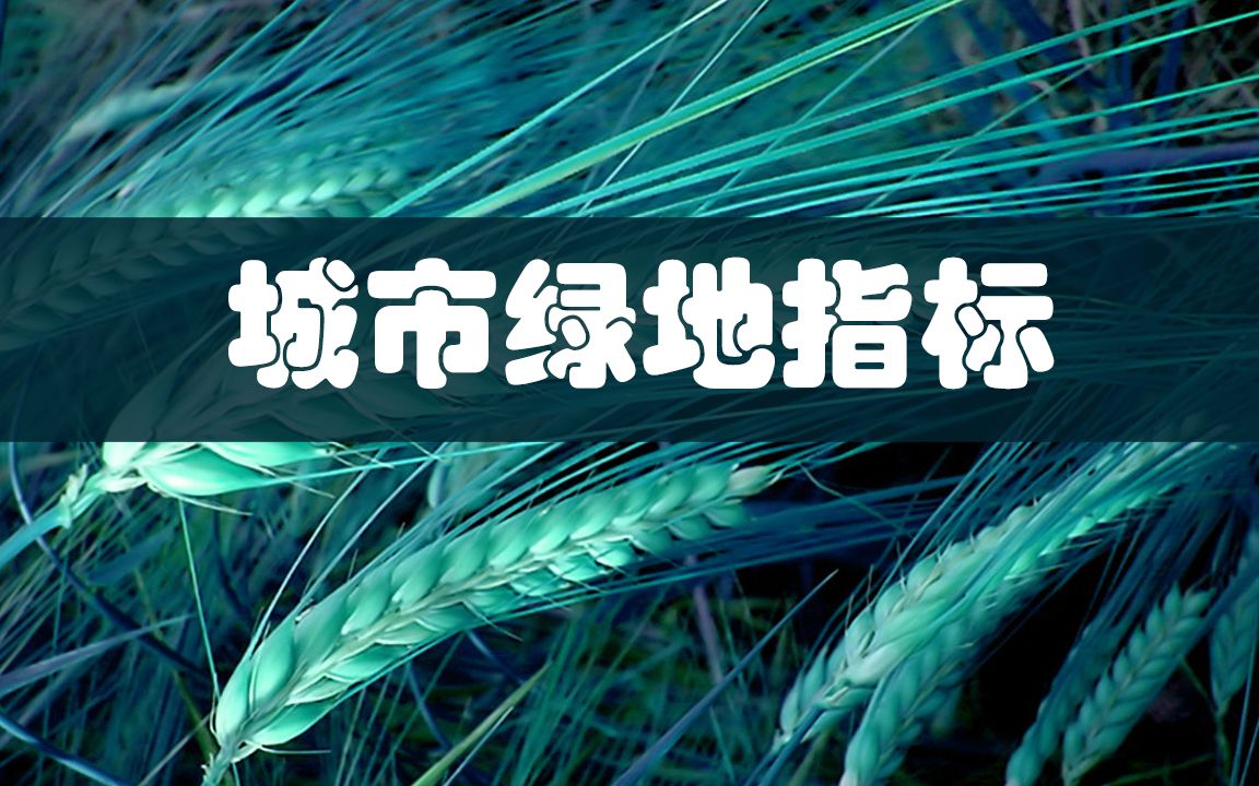 城市绿地指标宣传视频