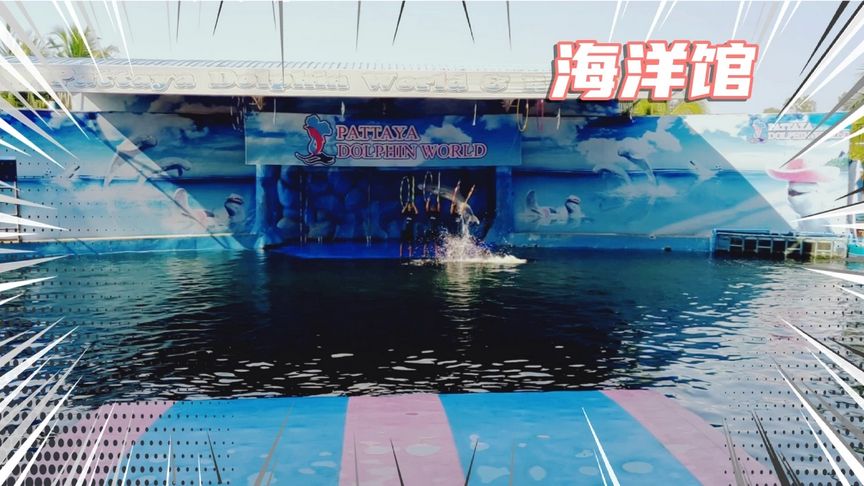 泰国߇�߇�海洋馆,海豚ߐ�秀