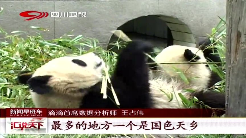 智能出行大数据分析 成都人爱休闲旅游