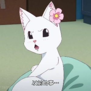 赖昭 