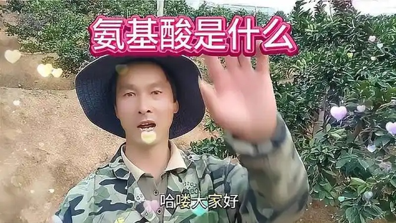你的果树会使用氨基酸吗