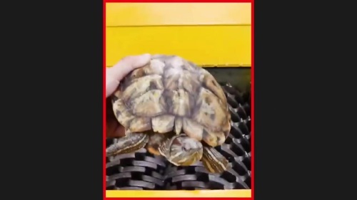 看!粉碎机一出,万物皆灰飞烟灭!