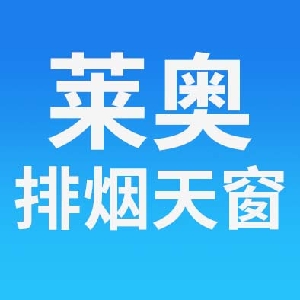 四川莱奥一字型天窗 