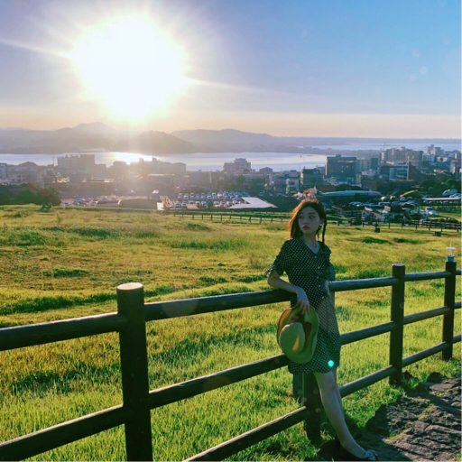 丸蝶喵 