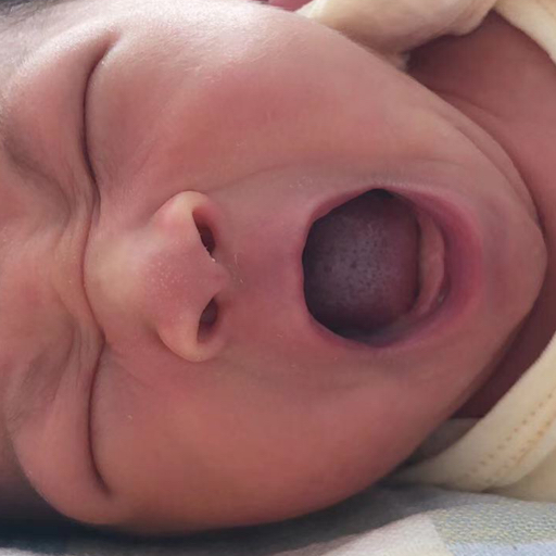 你看不看看 