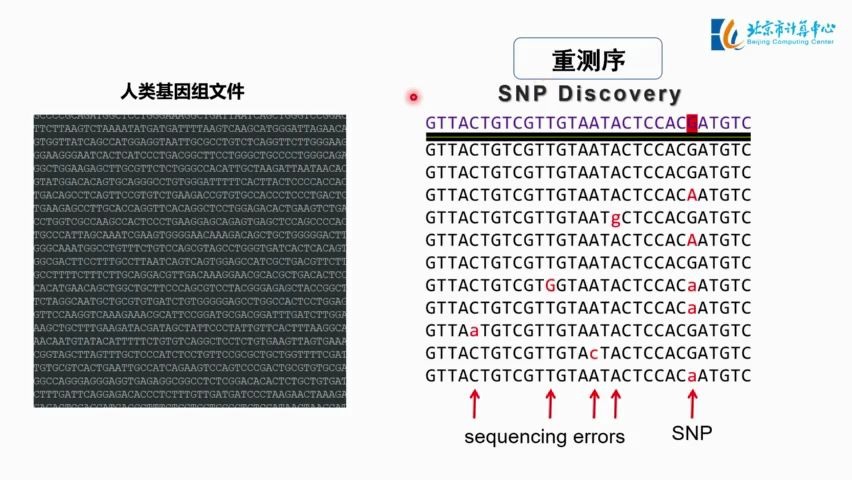 1.3_测序技术与生物信息简述-生物信息学技术应用2