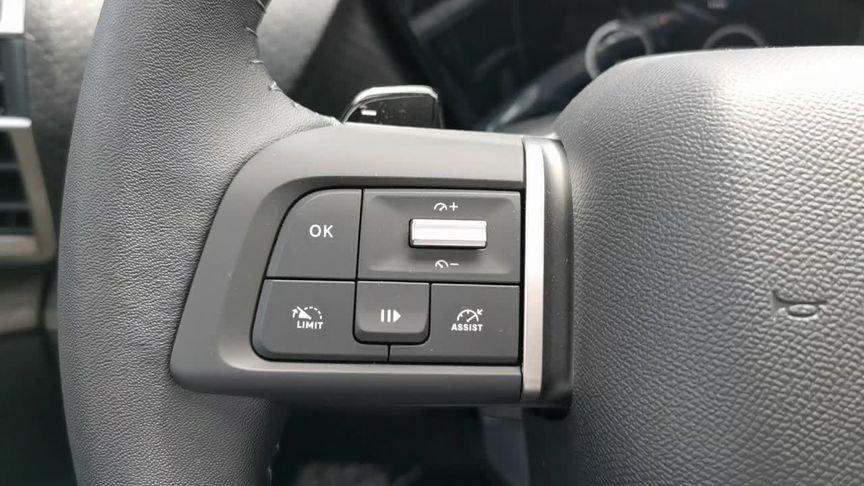 换挡拨片和油门踏板,急加速的时候你怎么操作呢#挑战凡尔赛