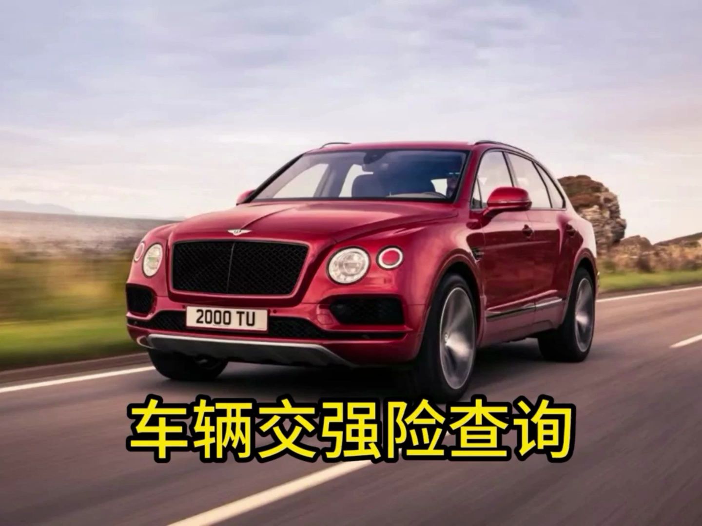 交强险保单查询,查询车辆交强险