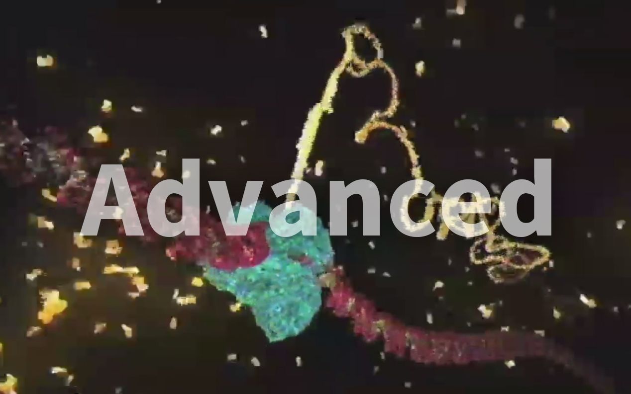 【分子生物学动画】DNA的转录(进阶)DNA Transcription (Advanced)(...