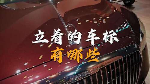 车标立起来才够霸气!这些豪华品牌你认出几个?