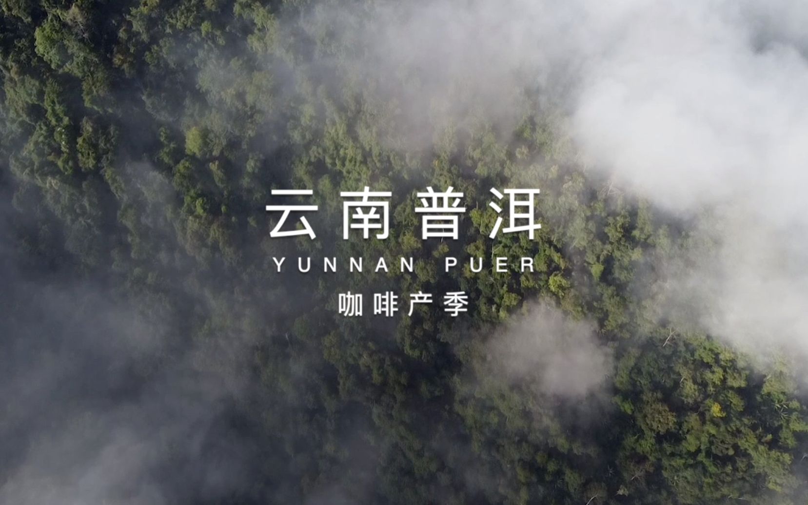 航拍咖啡产地 | 拨开山间云雾,去看见咖啡庄园!