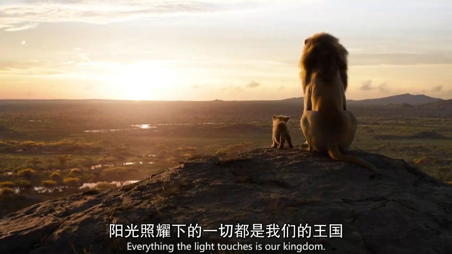 B0371《狮子王》2人 英文配音素材 消音素材 视频素材