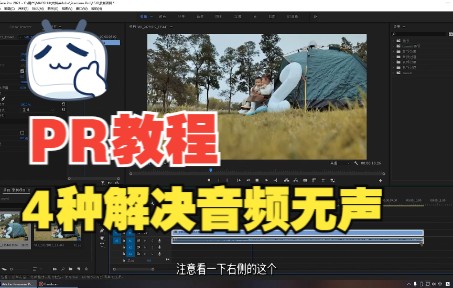 PR软件 导入视频没有声音的4种解决方法