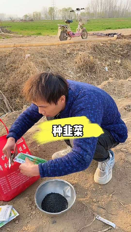 农村生活韭菜很多朋友问如何种植,今天让大家看一下