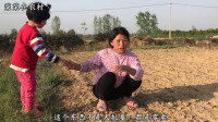 农村阿姨在家种树苗,8亩地一年能收入多少钱?听她咋说