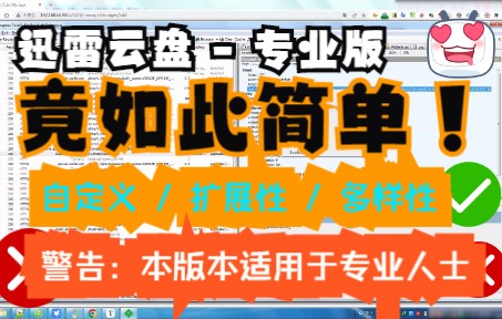 【Alist】Alist v3 迅雷云盘 - 专业版/高级版 食用教程 ~ 自定义程度更高 ...