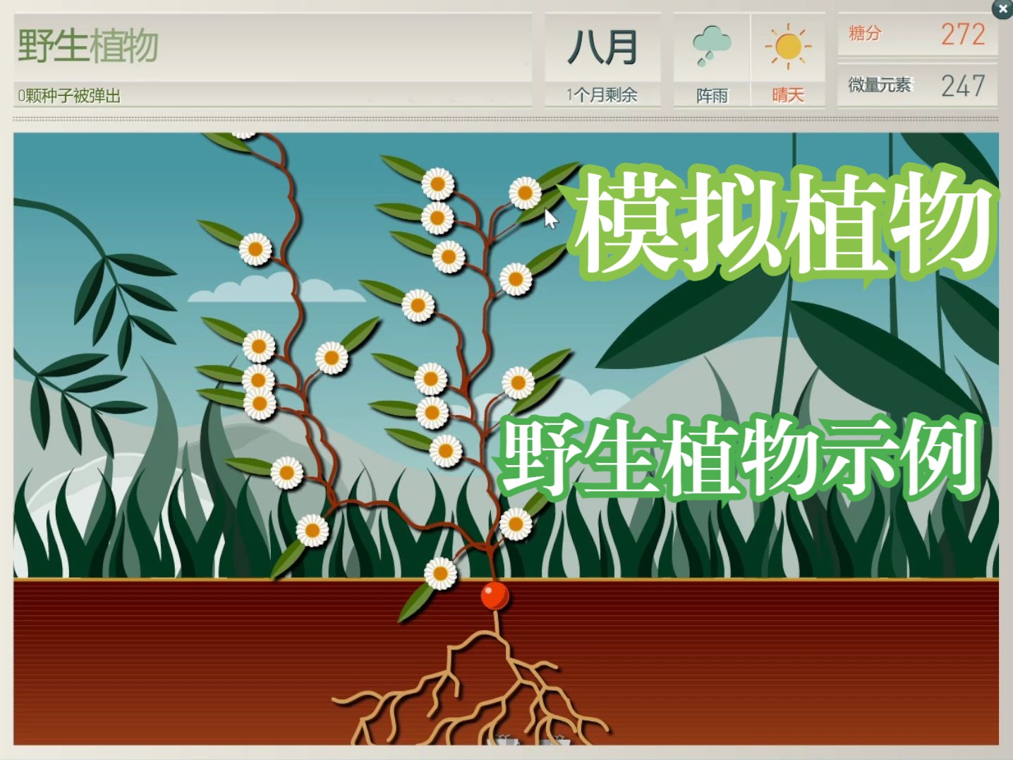 【模拟植物】野生植物示例