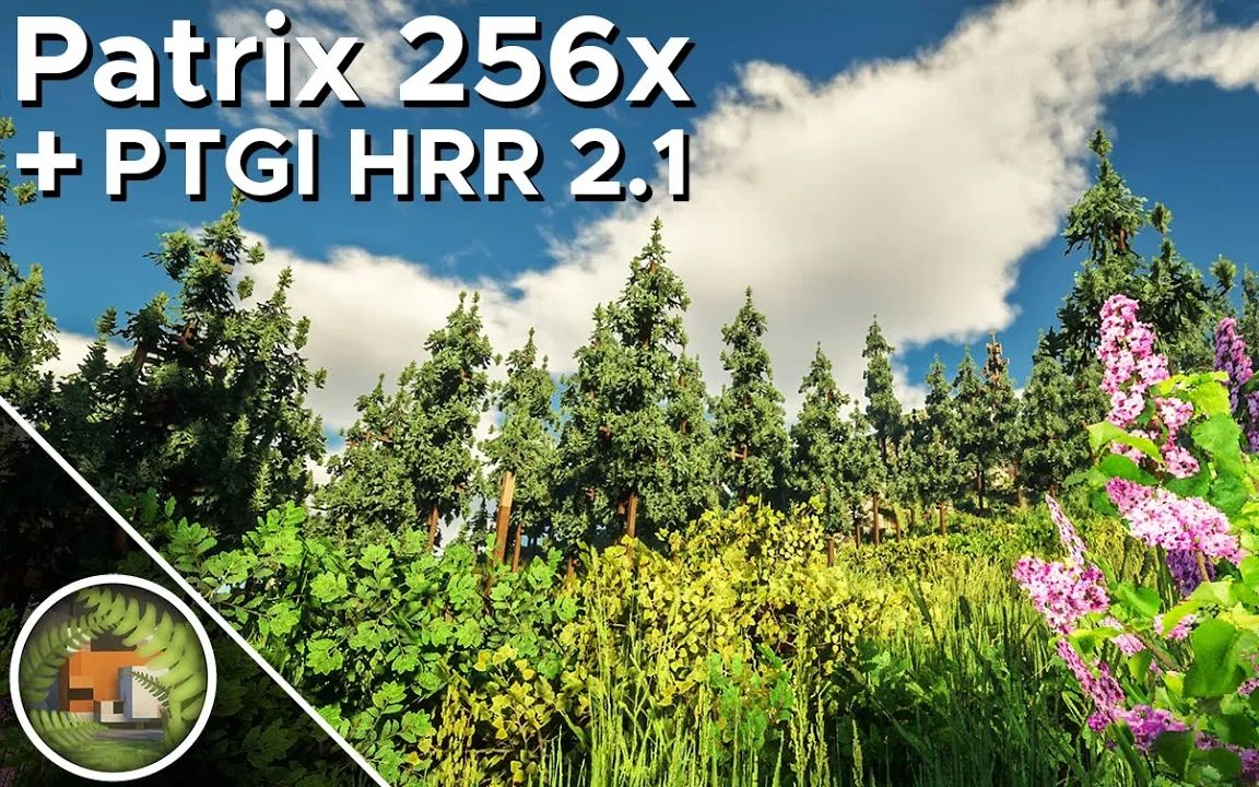 【油管搬运】【Minecraft 材质包】这真的是我的世界吗 - Patrix 256x + ...