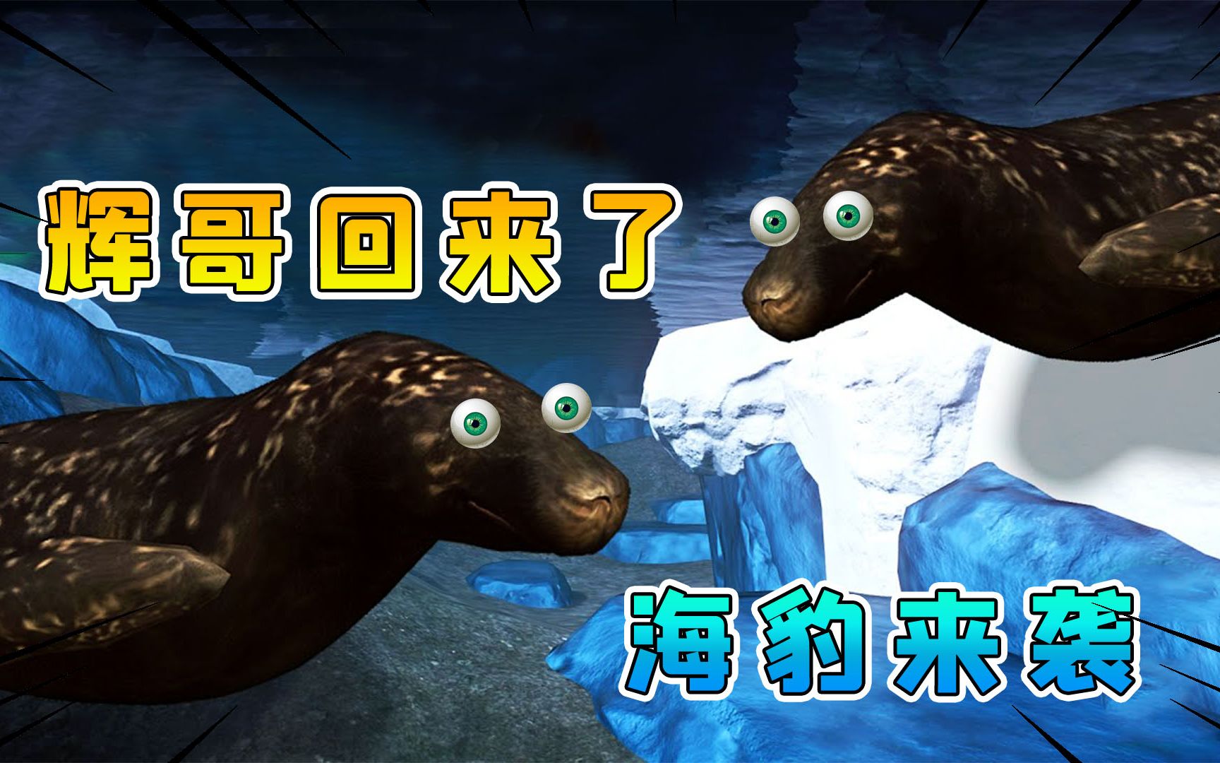 动物园之星53:辉哥回来了,迎来了第一只海洋生物,可爱的海豹