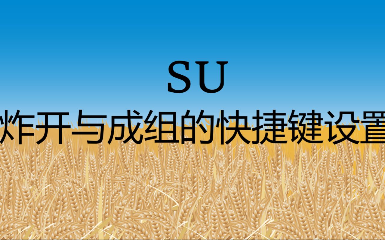 SU炸开与成组的快捷键设置