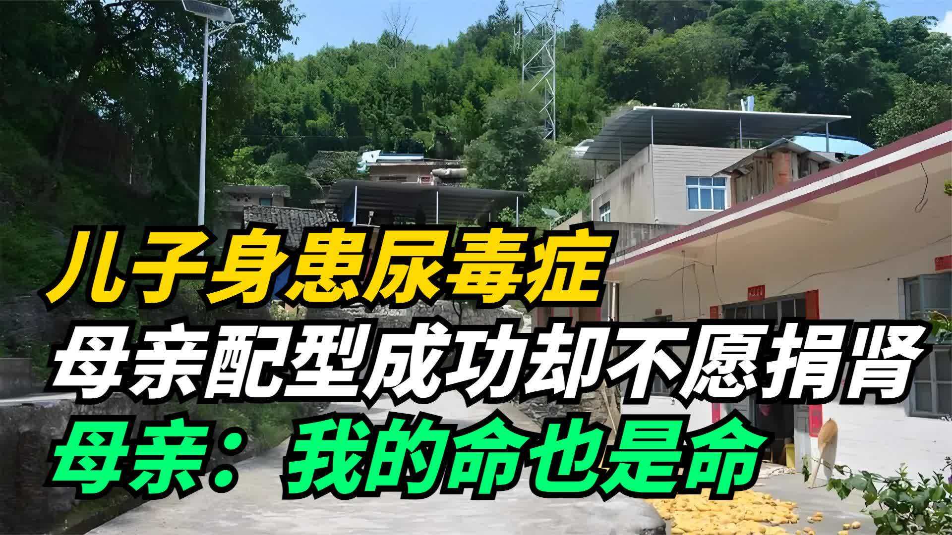儿子身患尿毒症,母亲配型成功却不愿捐肾,母亲:我的命也是命