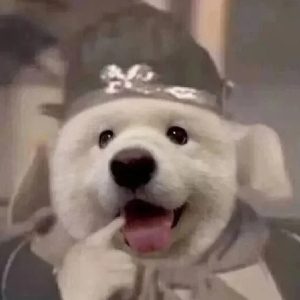 噼哩啪啦咚嘎啪 