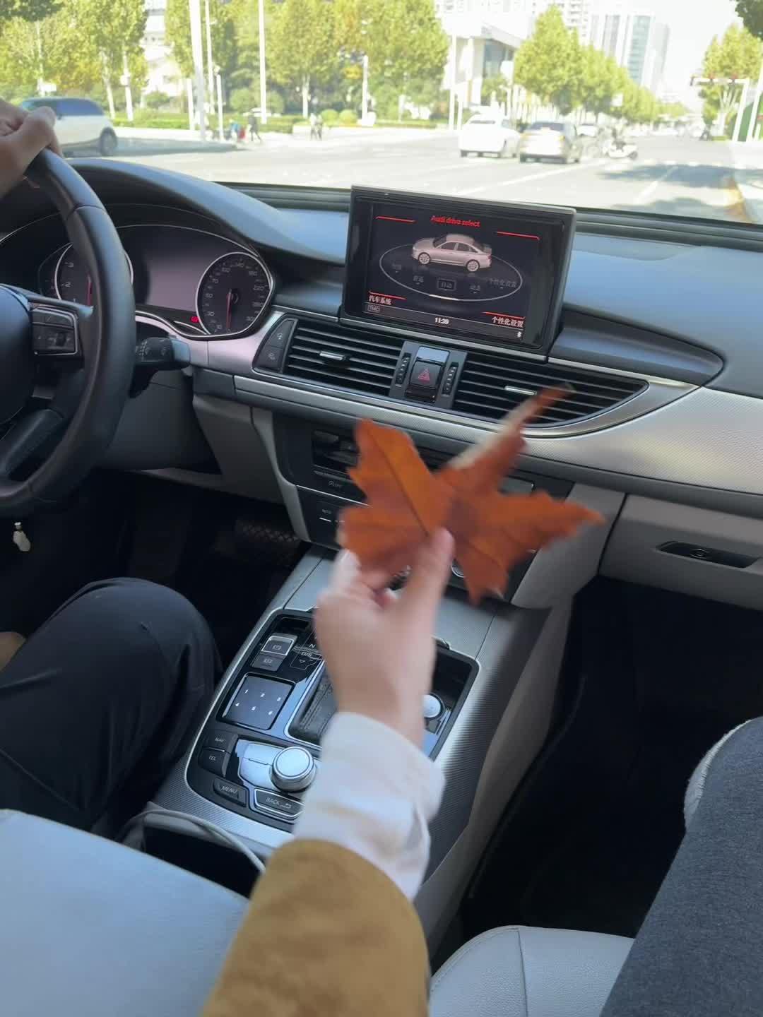 我以为媳妇给我落叶呢 没想到后面藏了个 SD卡 我这个老车还能听无损...