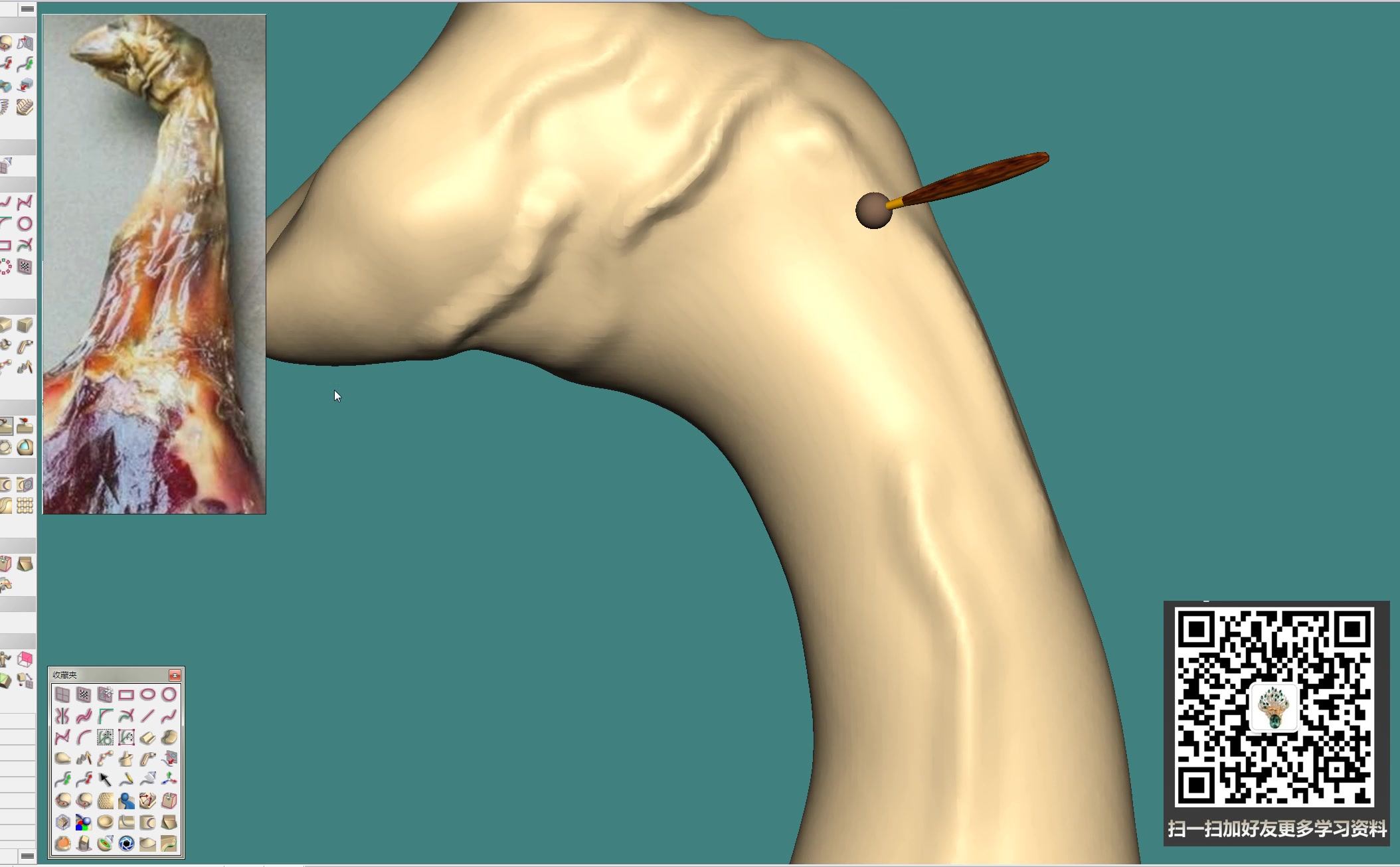 freeform雕刻笔教程视频-猪蹄纹理建模教程