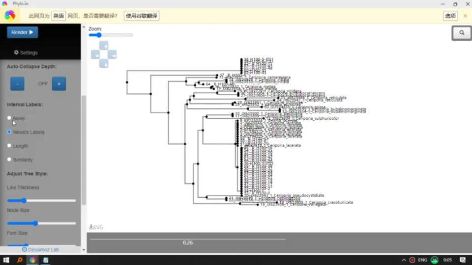 利用MAFFT-网页版快速构建系统发育树(简易版NJtree)