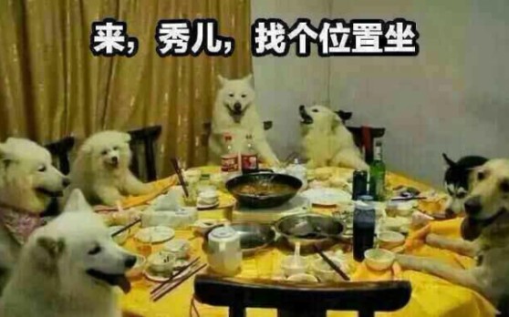 【测试】泰拉瑞亚,电脑版的永恒一枪,转手机版的“永恒”一枪,究竟会...