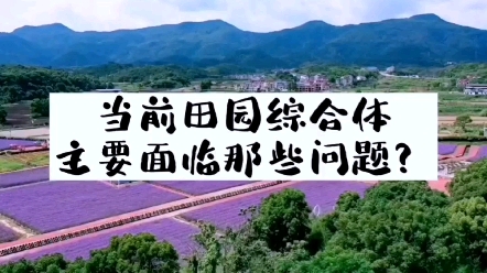 当前田园综合体主要面临哪些问题?#田园综合体#农业综合体#农业...