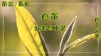 白茶的分类与特点