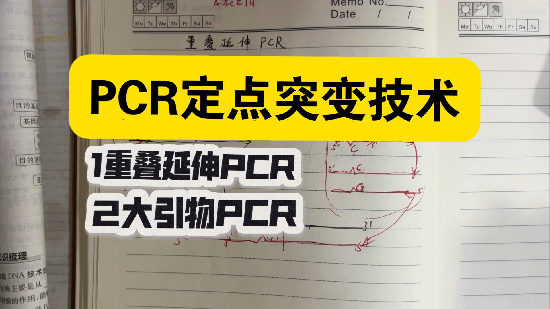 PCR定点突变技术 之 1 重叠延伸PCR。2 大引物PCR