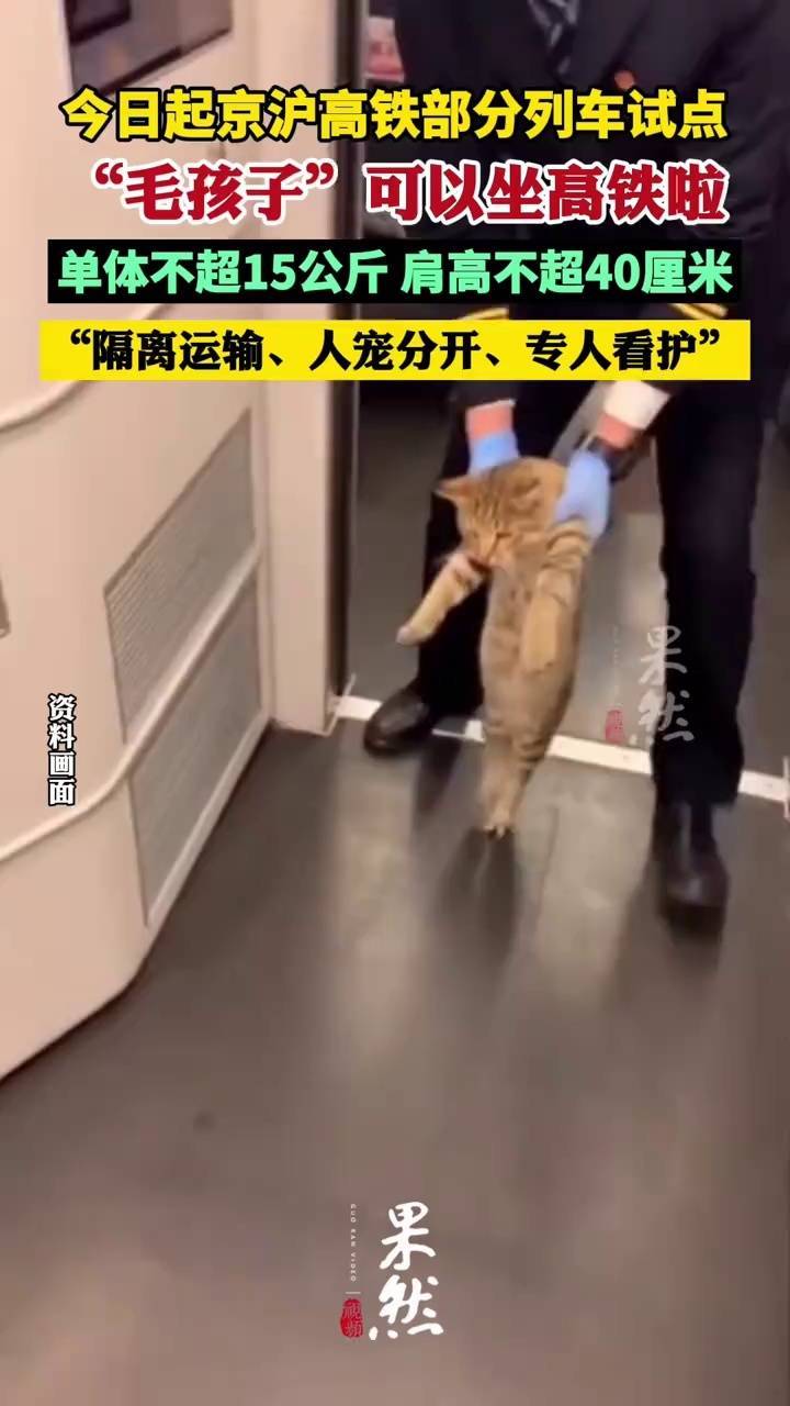 今日起铁路部门试点高铁宠物托运服务(中国铁路)