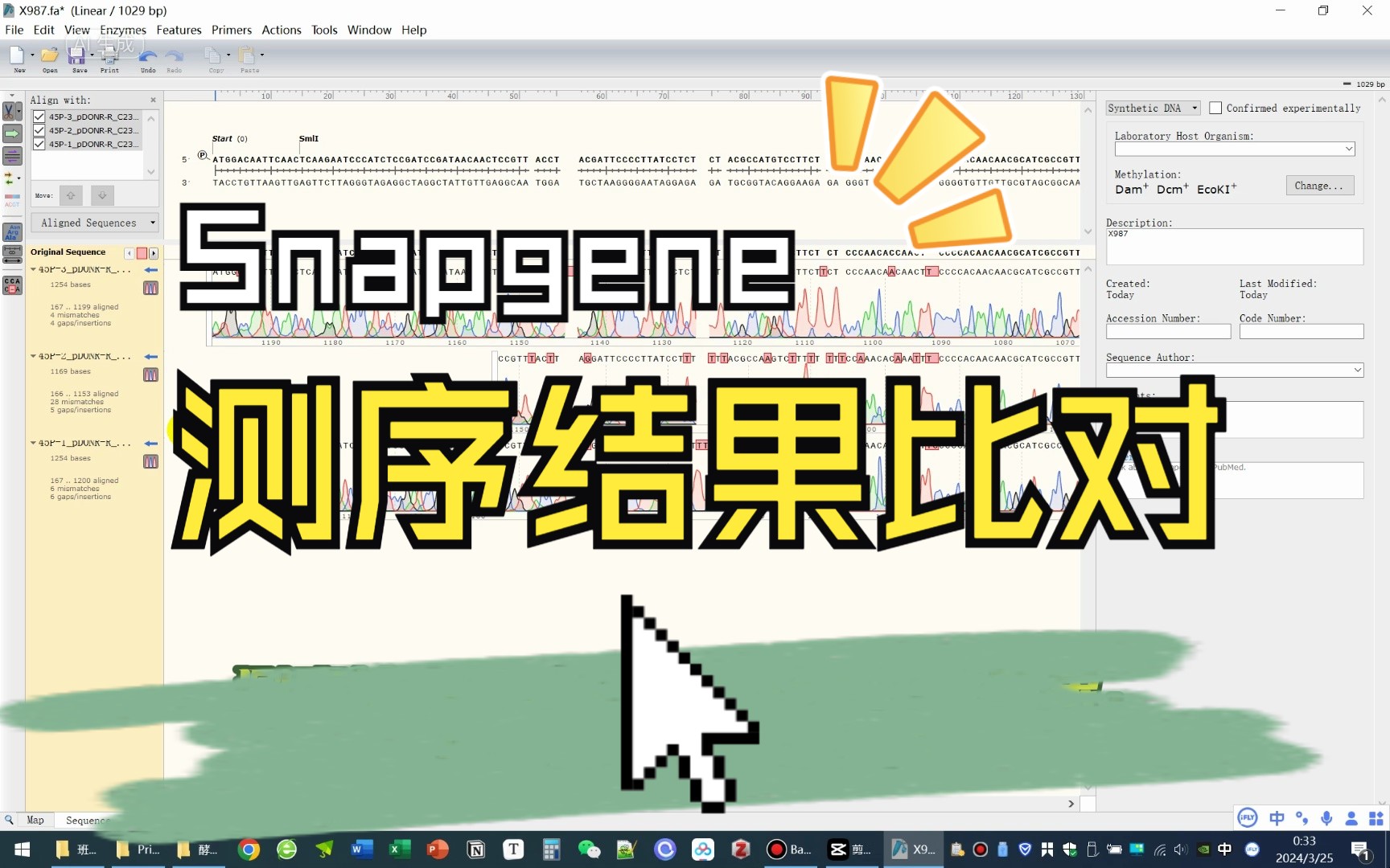 Snapgene测序结果比对