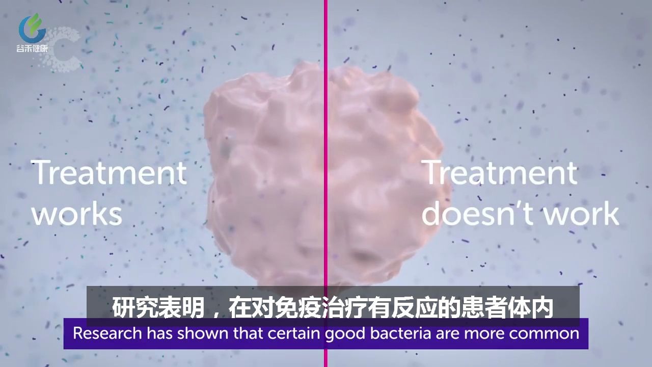 人体内的微生物群:有望成为预防和治疗癌症的新方法