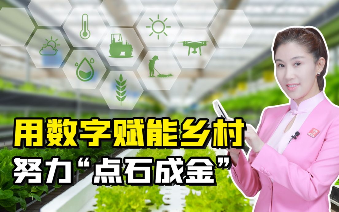 三农锐评丨用数字赋能乡村 努力“点石成金”