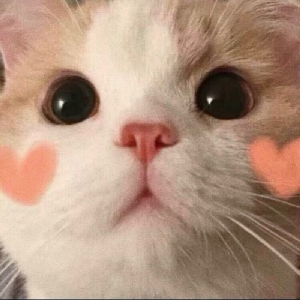 希望环游世界的咸鱼 