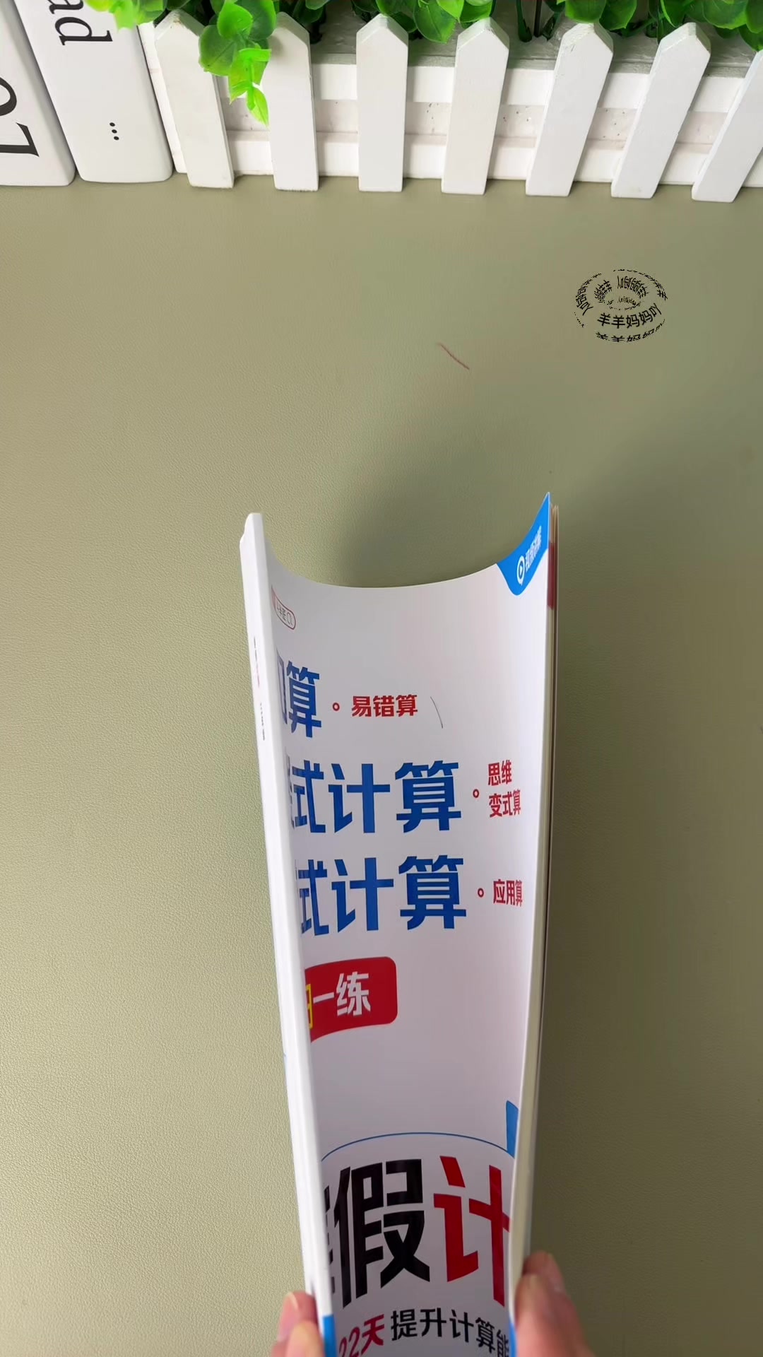 ...计算能力比较薄弱的孩子,给她准备这本易错算、思维变式算、应用算...