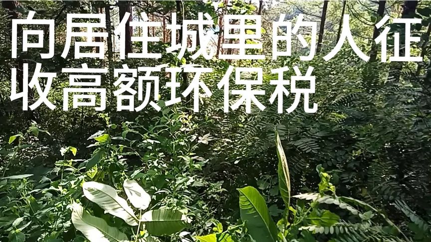 建议向居住城里的人征收环保税,来回馈乡村,投入到植树造林上