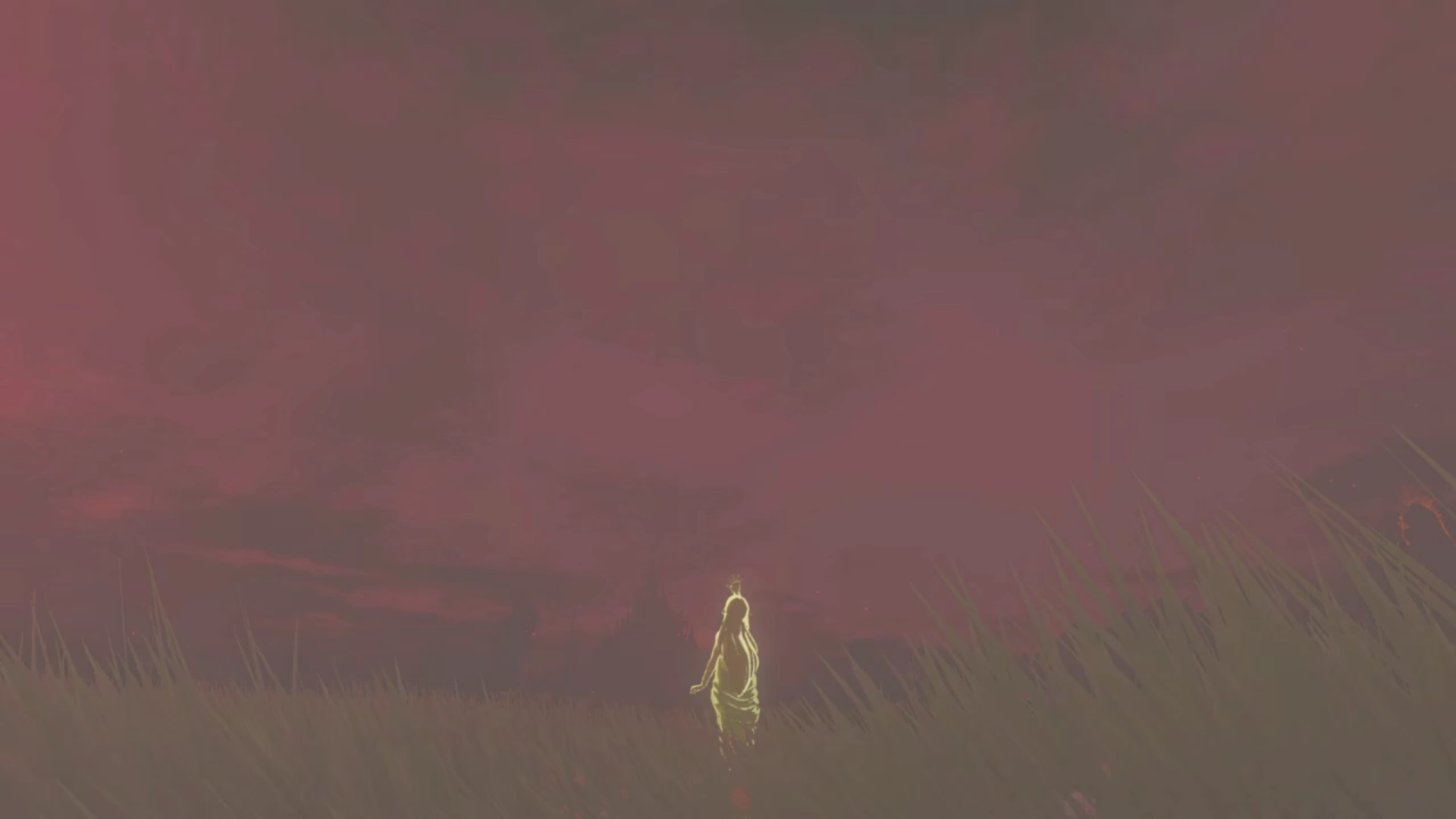 switch塞尔达传说旷野之息,林克塞尔达公主