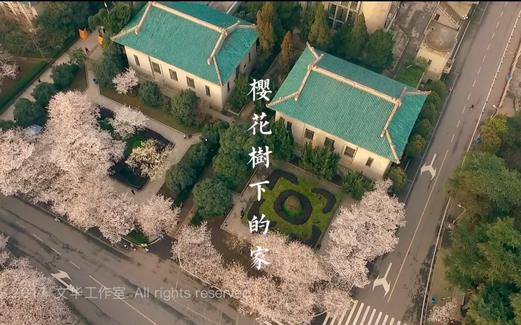 【自制】航拍武汉大学樱花季 | 樱花树下的家