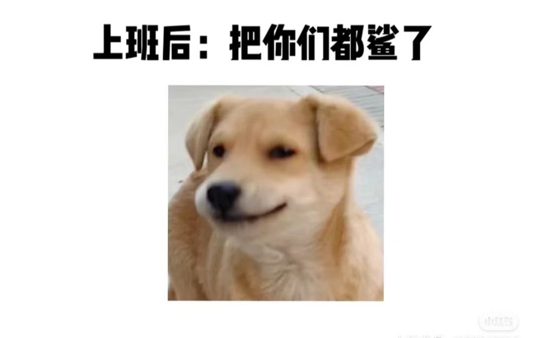 vue编译器过程解析