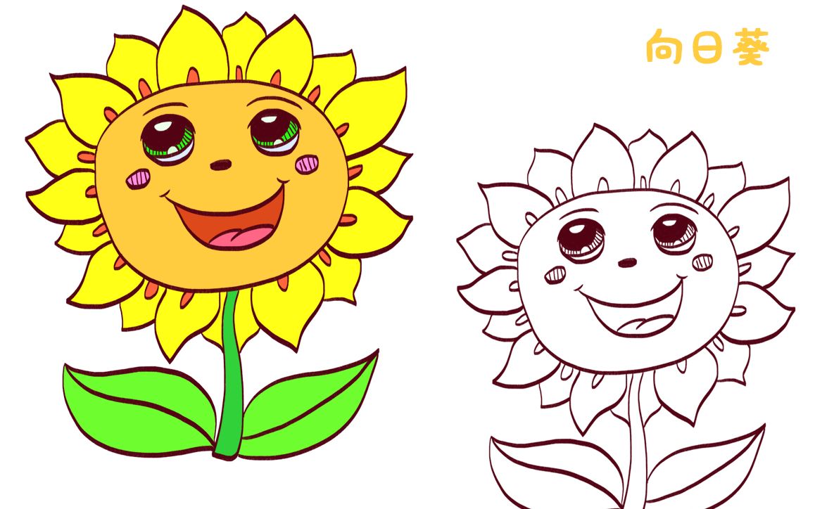 简笔画大全,向日葵(一)